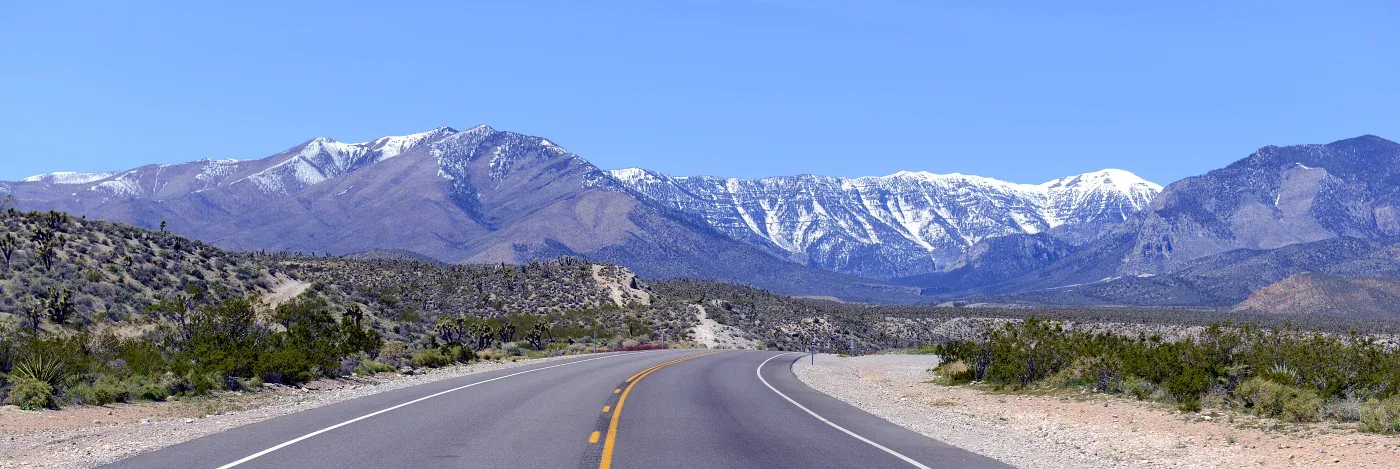 USA Road Trips || Questor Insurance